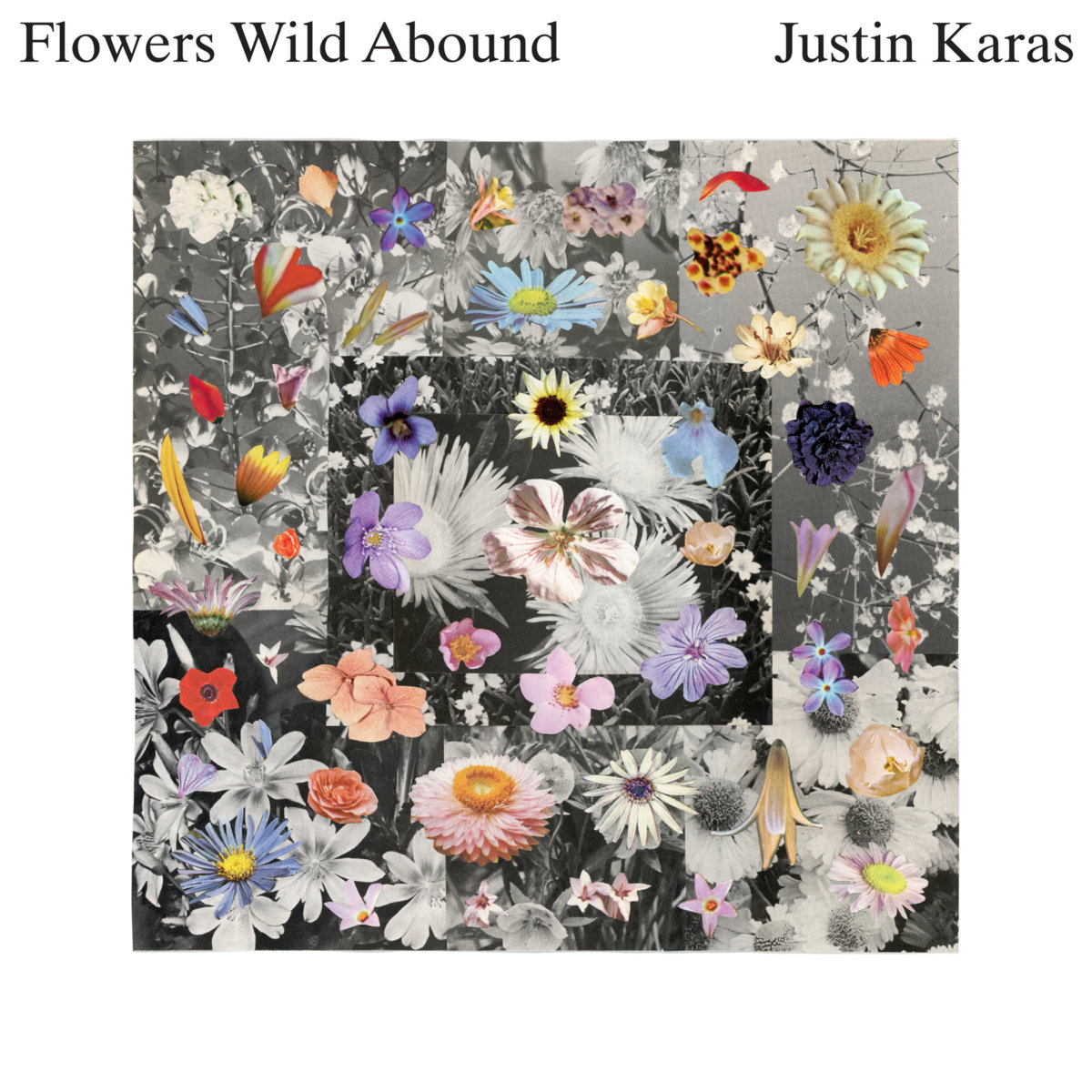 19 | septembre | 2025 | Critique de salon